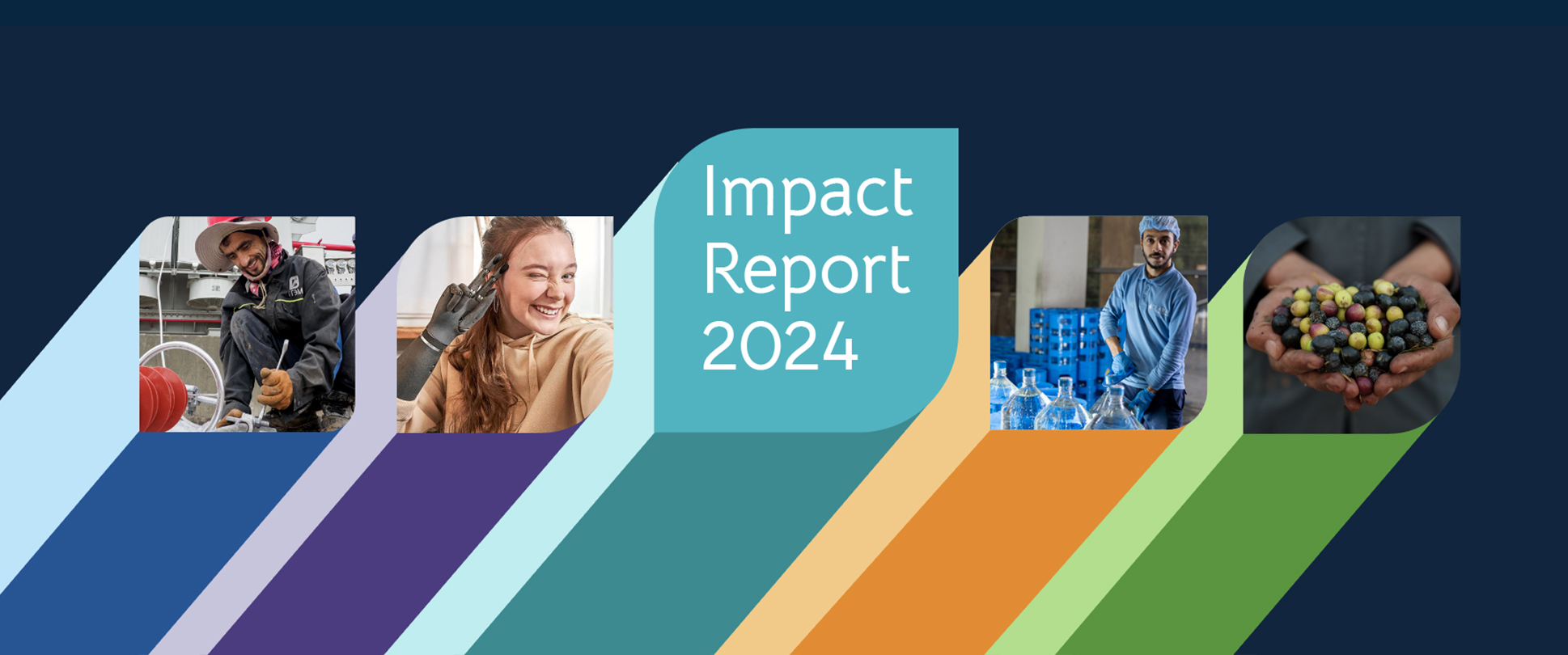 Impact Report 2024